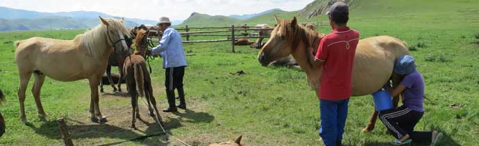 Travel to Mongolia with children - Special nomadic life tour in the ...